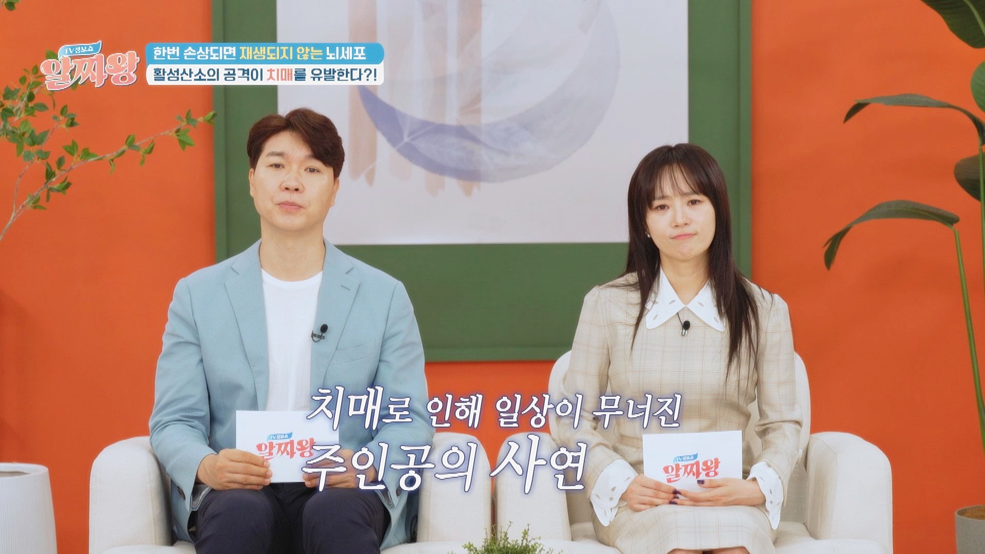 다시보기 | TV정보쇼 알짜왕 | JTBC