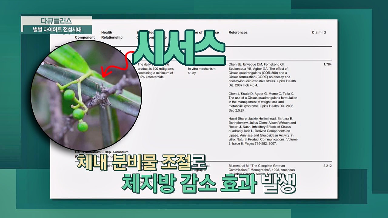 다큐 플러스 | VOD | JTBC