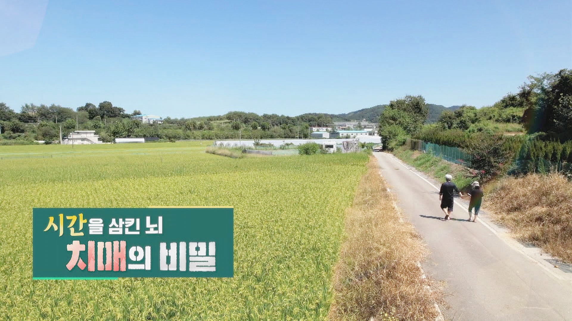 다시보기 | 다큐 플러스 | JTBC