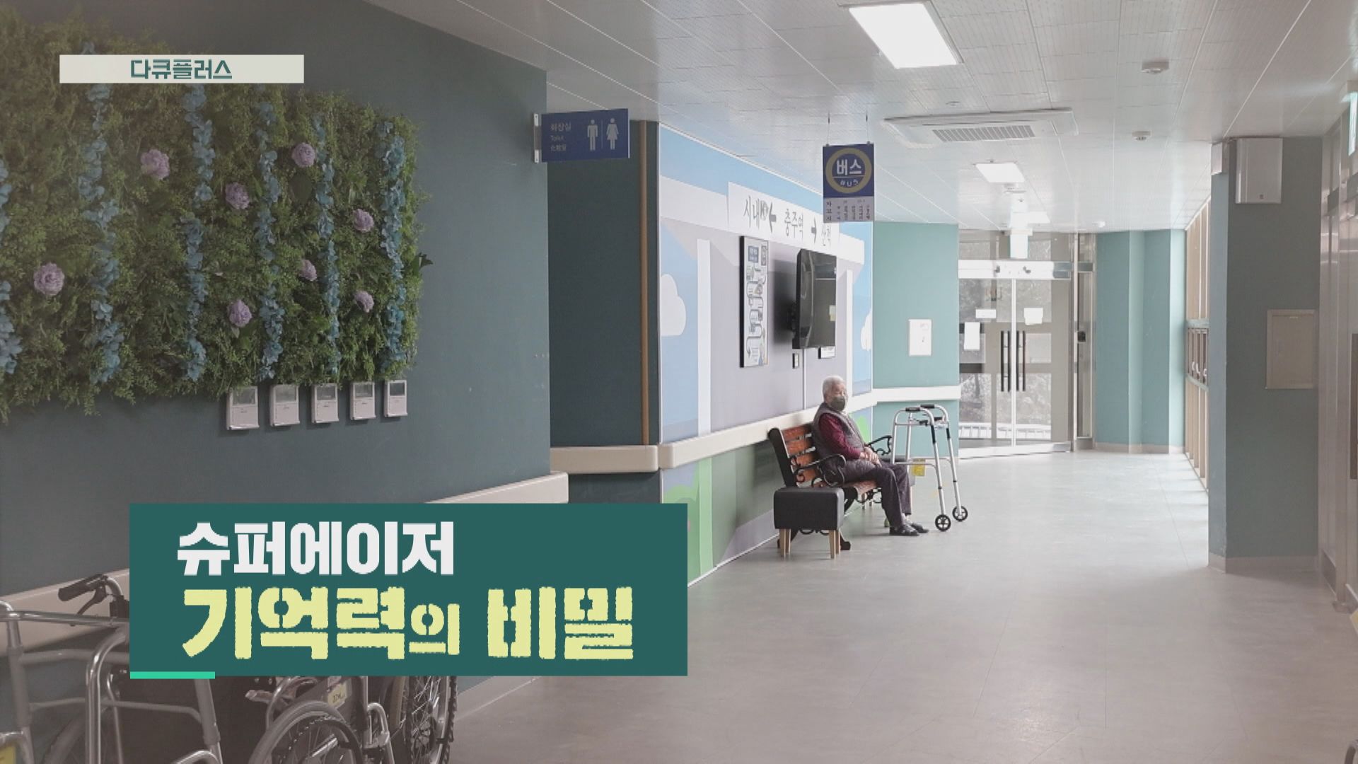 다시보기 | 다큐 플러스 | JTBC